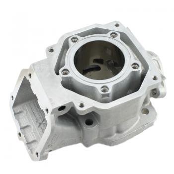 Rotax DD2 Cylinder, 2024 - Rotax Max DD2 Evo Parts - K-Racing